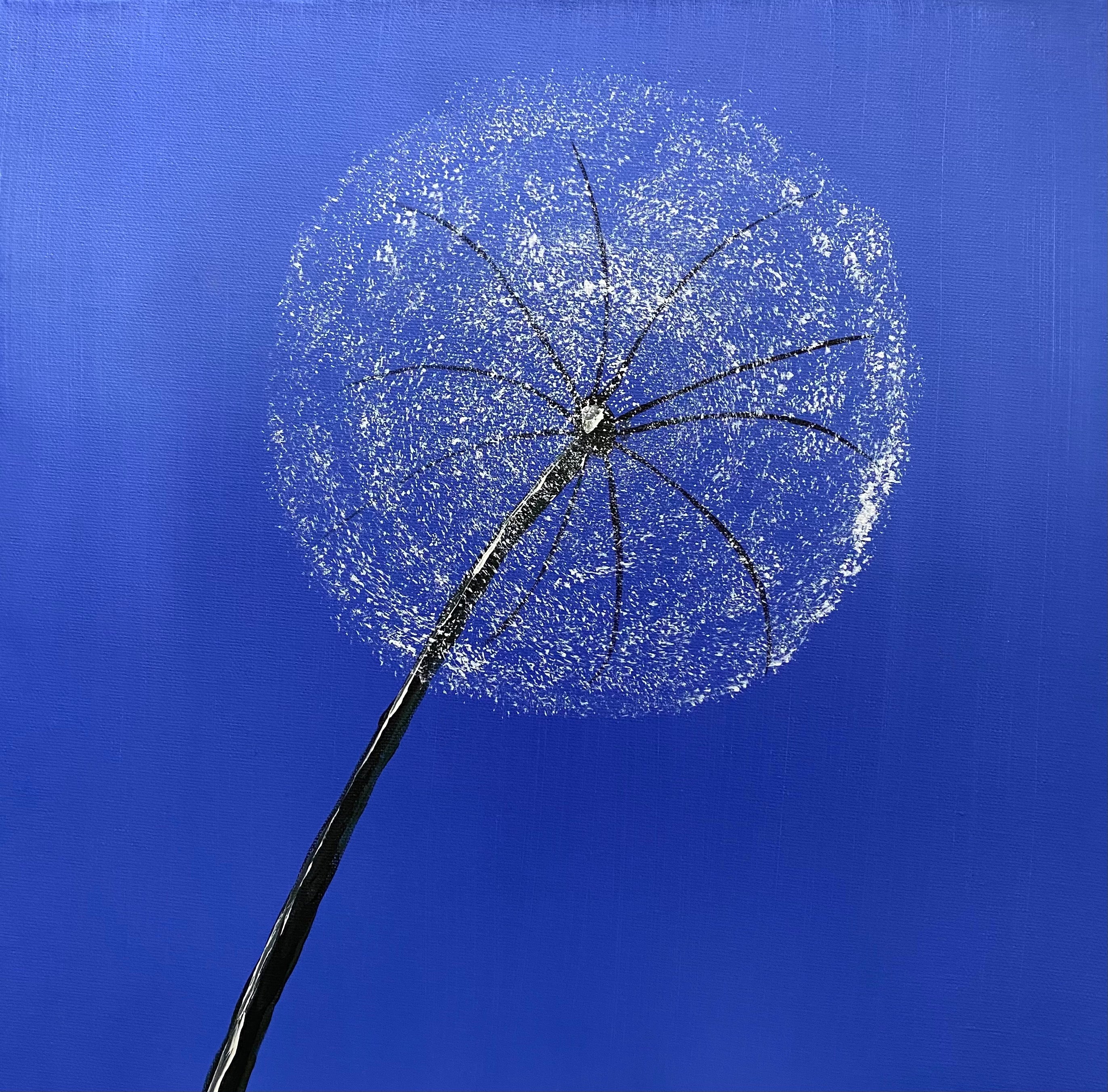 40 x 40 cm, Unikat, 'Pusteblume blau' (HW1-40) - Acrylgemälde von Hage